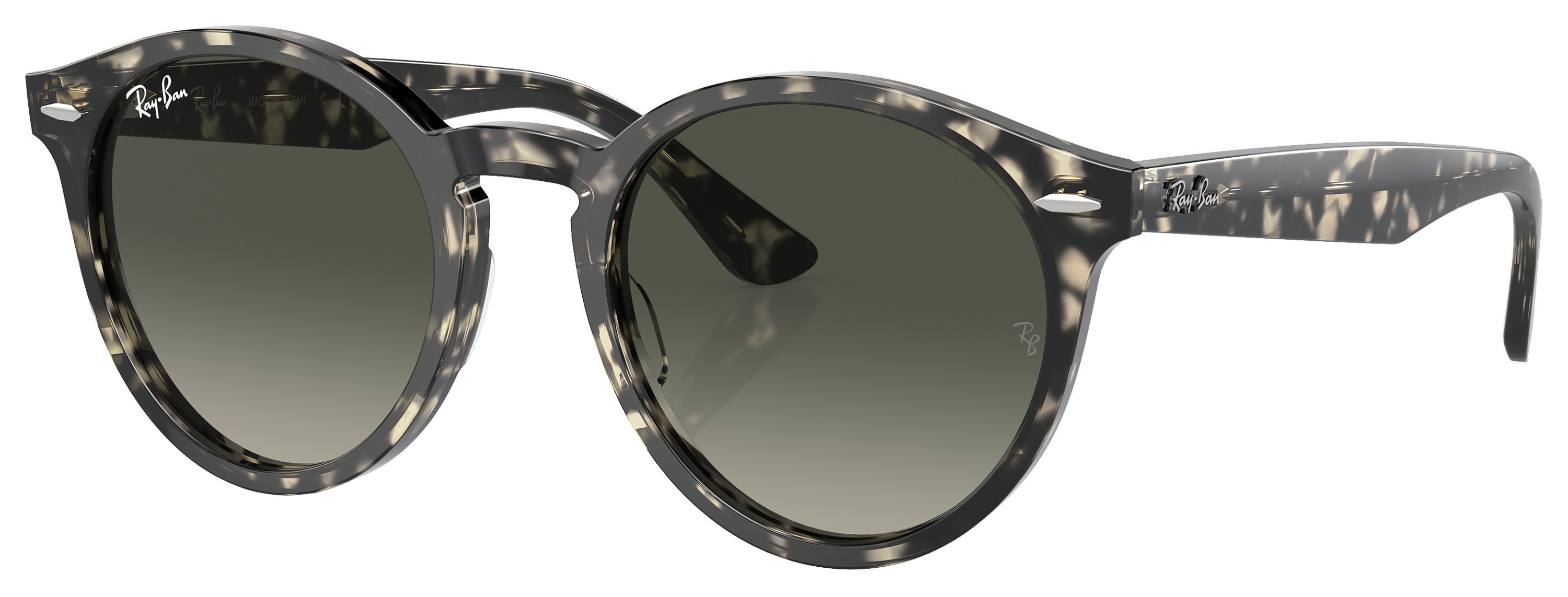 Ray-Ban Larry RB7680S Gradient Glass Sunglasses | Bass Pro Shops